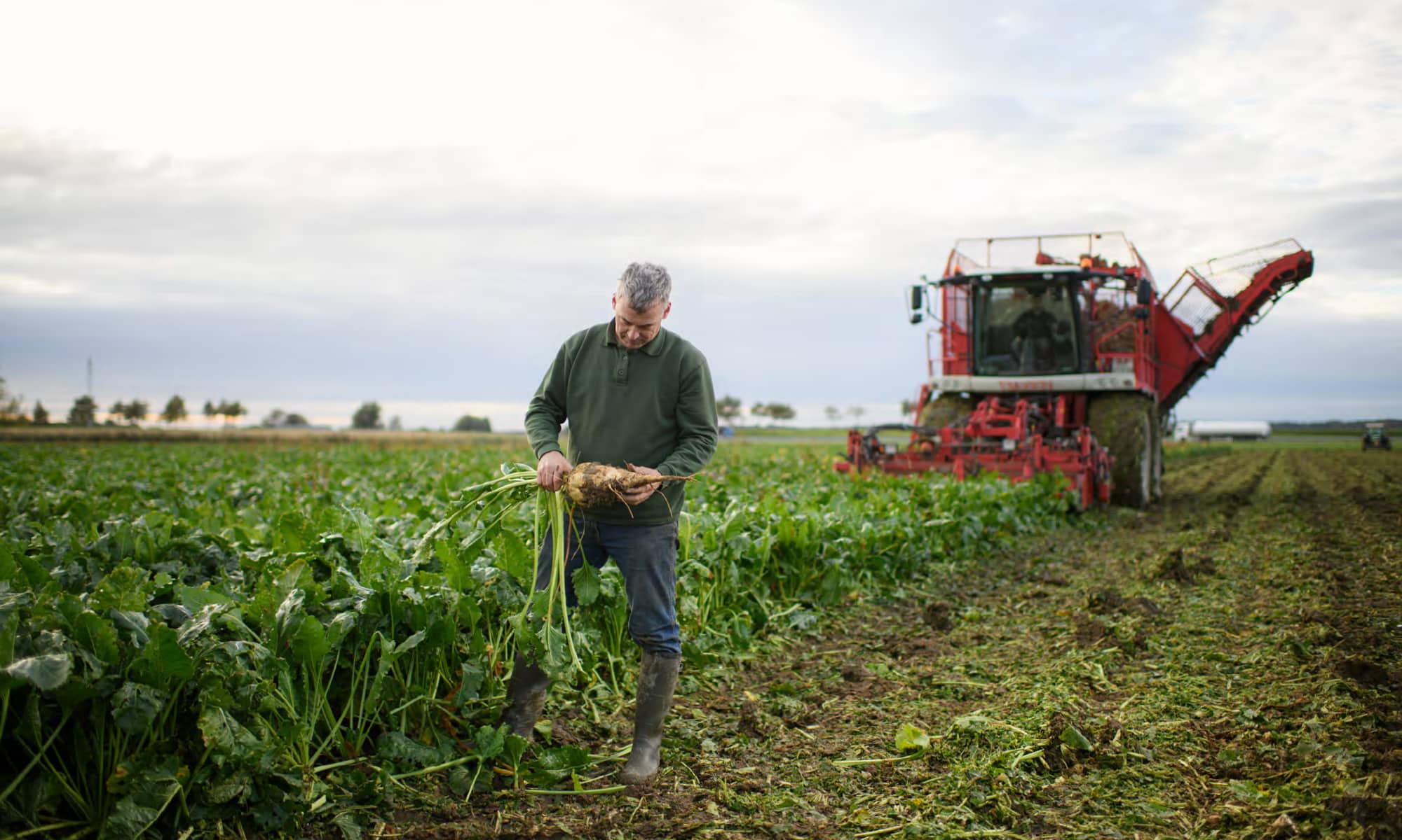 Cosun: the plant-based cooperative - Cosun