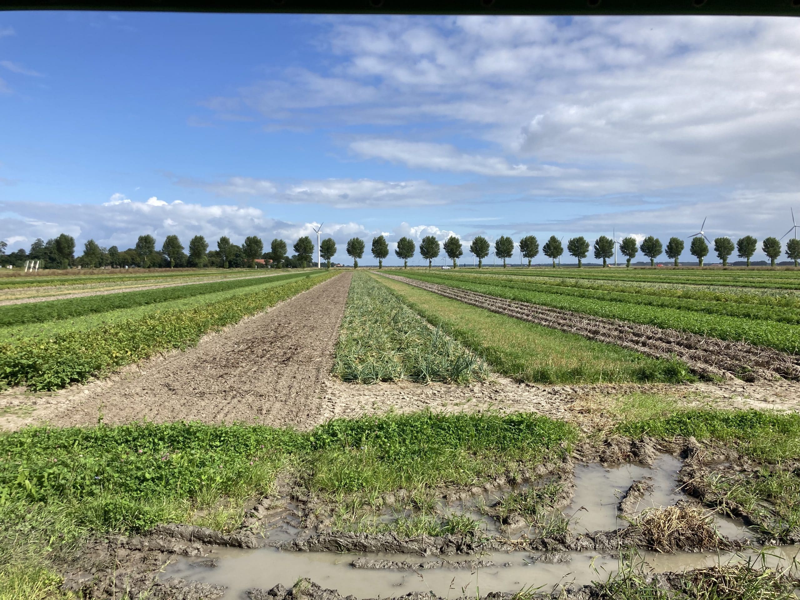 Regenerative Agriculture programme receives a boost from National ...